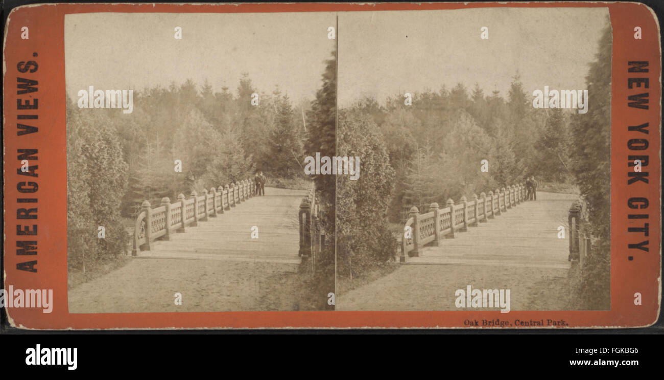 A photograph of Oak Bridge in Central Park, New York City, captured by ...
