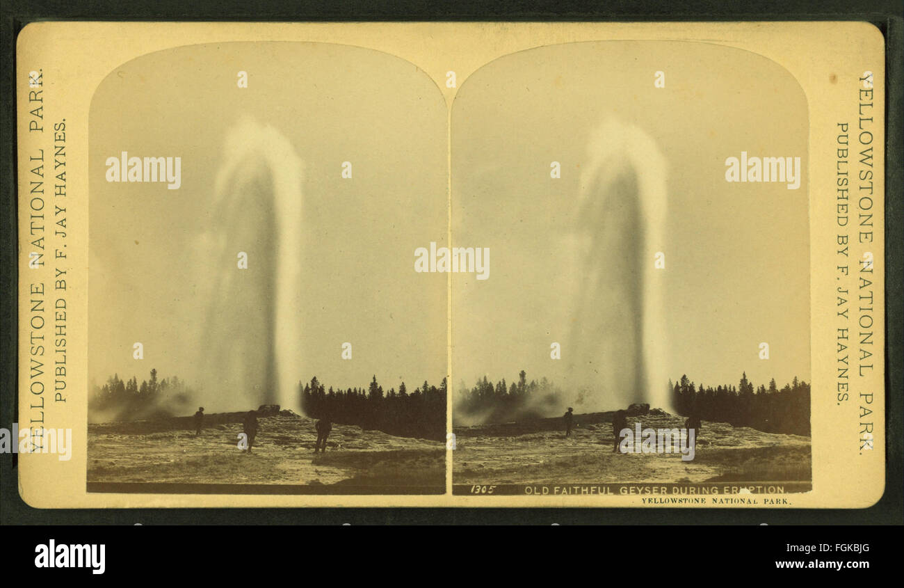 This photograph by F. Jay Haynes captures the eruption of Old Faithful ...