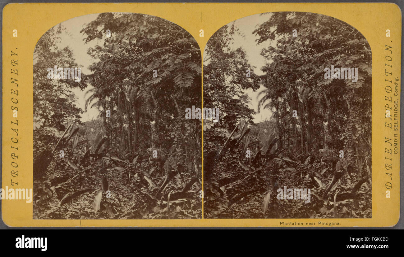 A stereoscopic view from the Robert N. Dennis collection depicting a ...