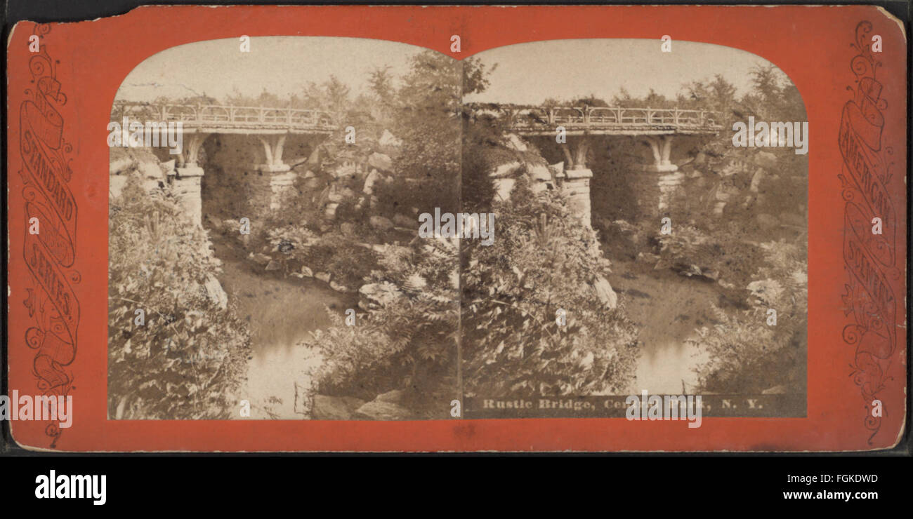 A photograph by W.M. Chase depicting the Rustic Bridge in Central Park ...