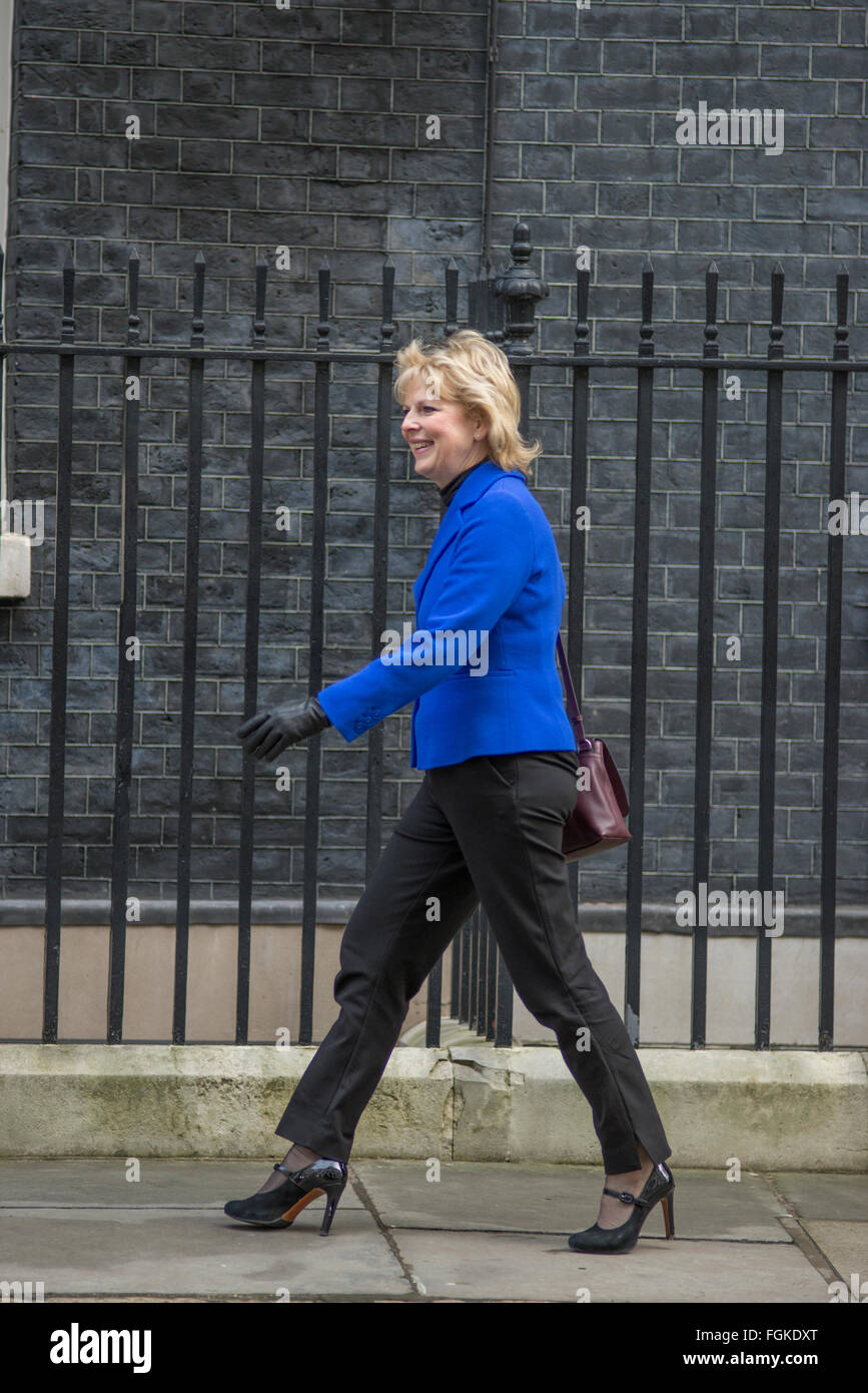 Downing Street, London, UK. 20th February, 2016. Anna Soubry MP arrives ...