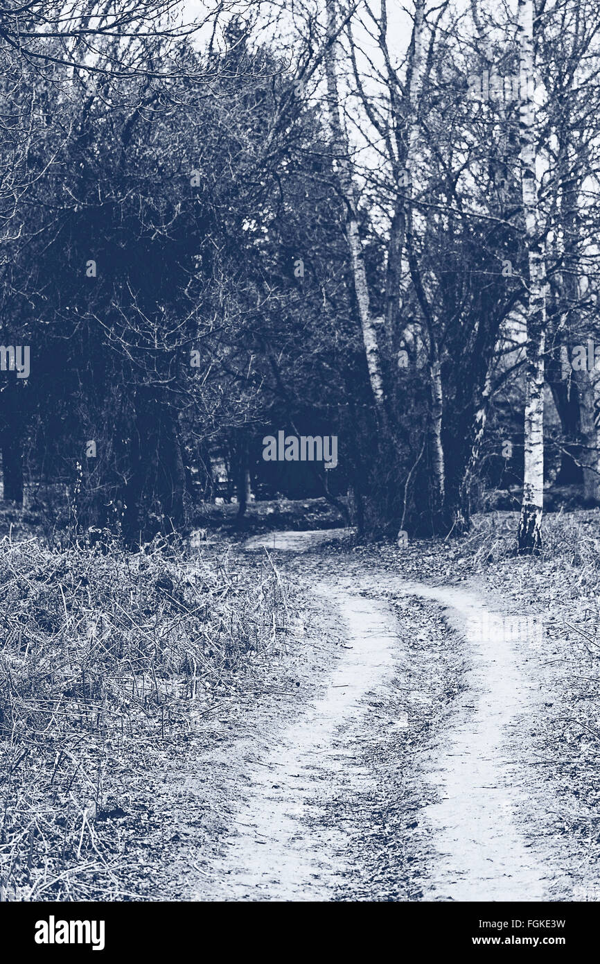 Scary Pathway High Resolution Stock Photography and Images - Alamy