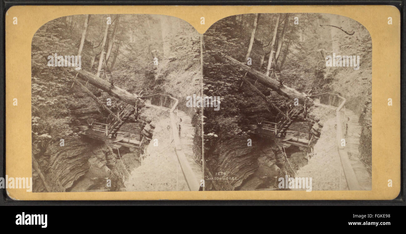 A photograph of Shadow Gorge, captured in a stereoscopic view from the ...
