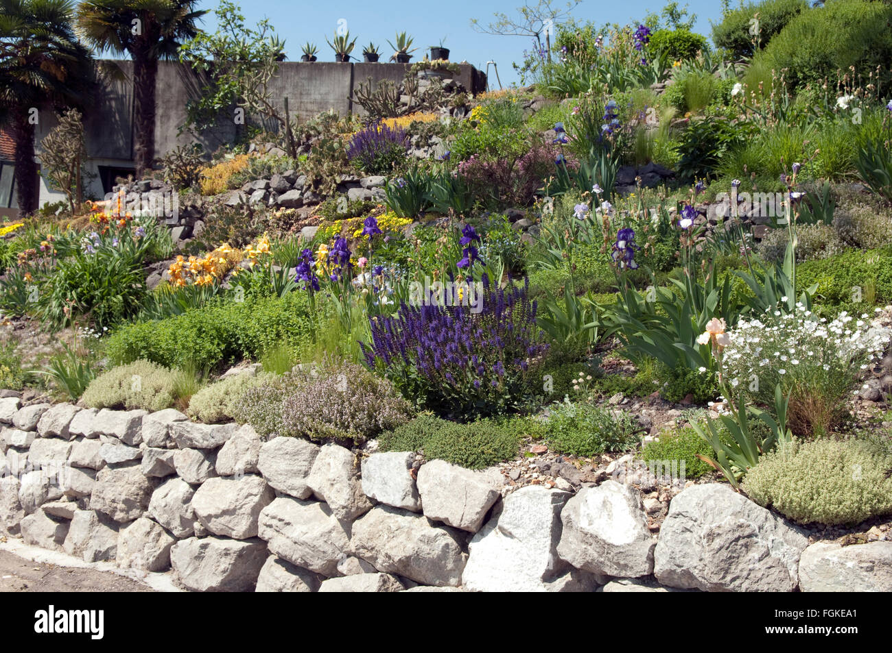 Natursteinmauer mauer hi-res stock photography and images - Alamy