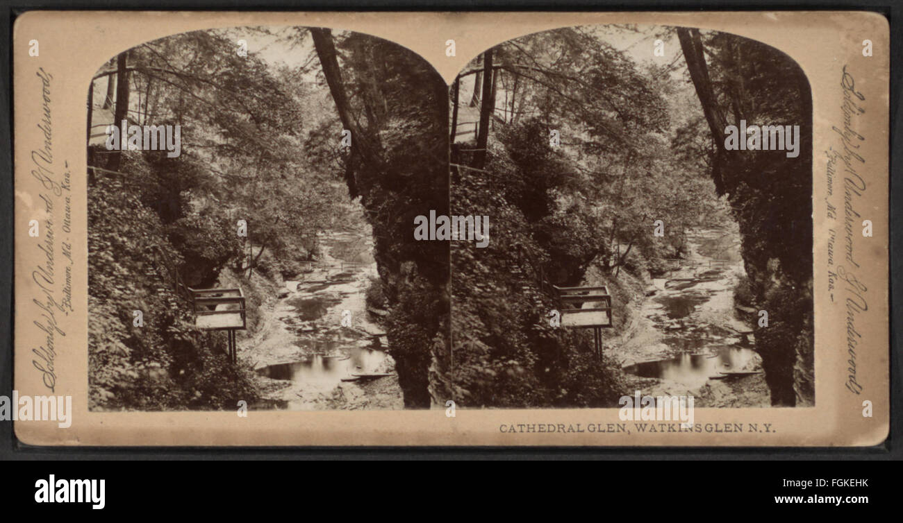 A stereoscopic photograph from the Robert N. Dennis collection of the ...