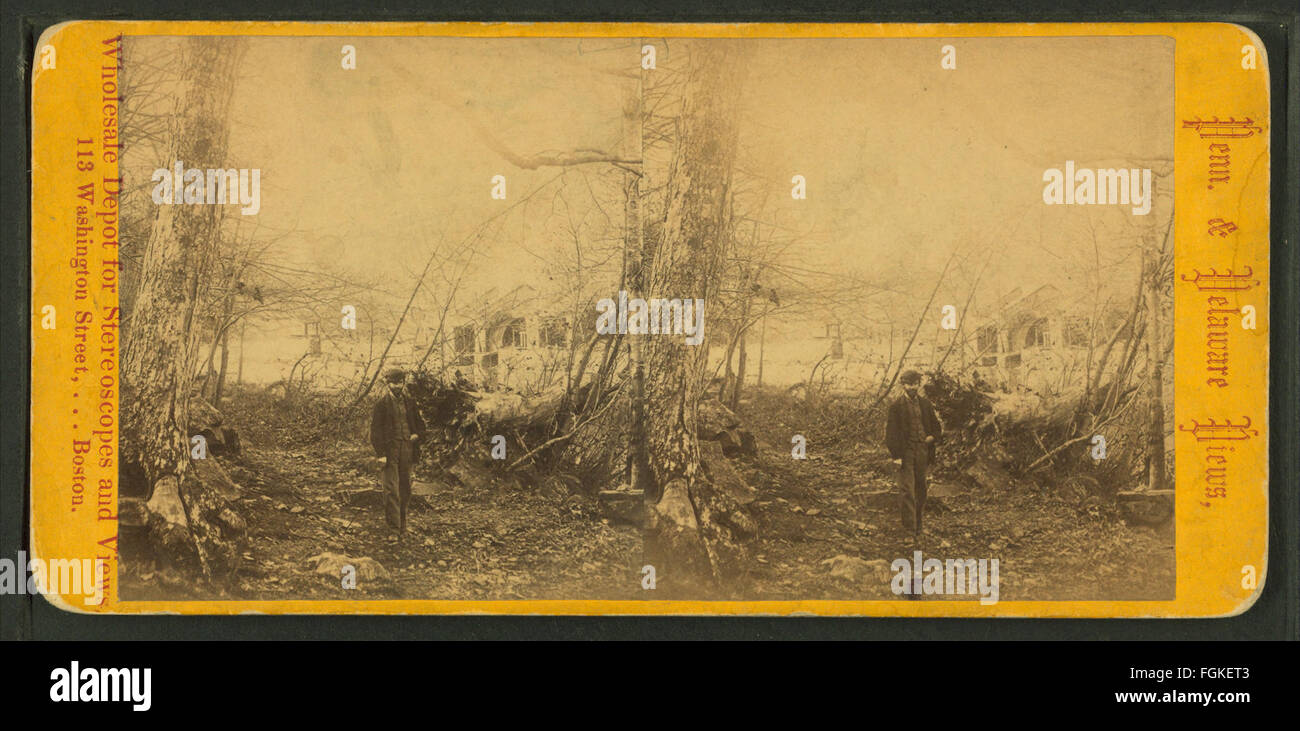 A stereoscopic photograph from the Robert N. Dennis collection ...