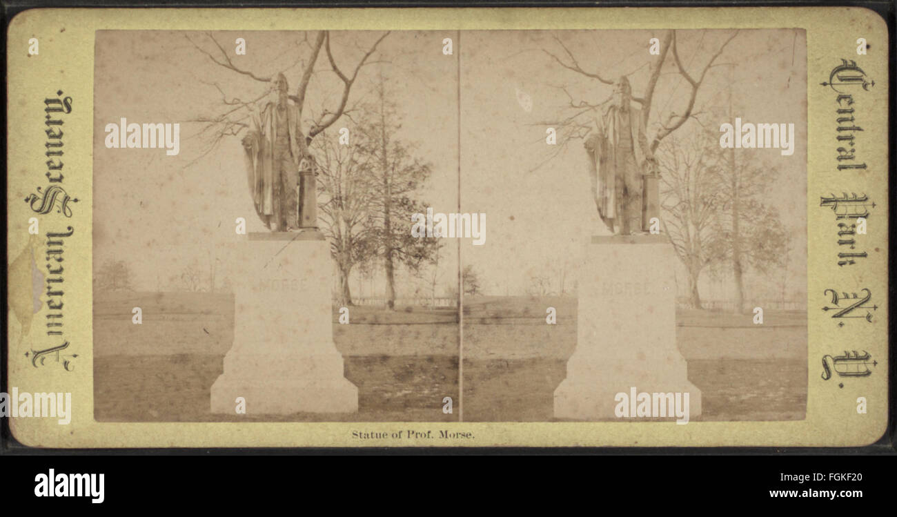 A stereoscopic photograph of the statue of Professor Samuel Morse ...