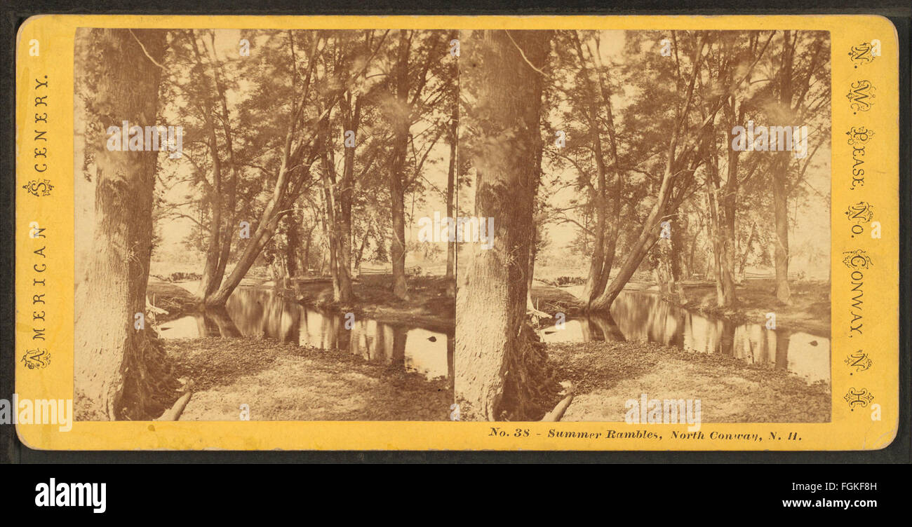 Nathan W. Pease’s photograph captures a scenic summer view in North ...