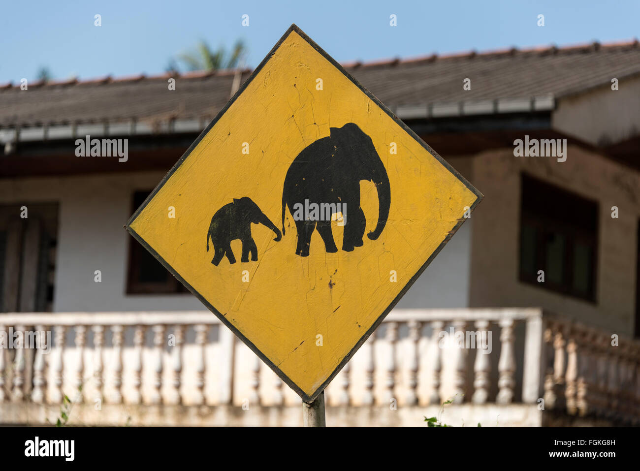 Elephant road sign hi-res stock photography and images - Alamy