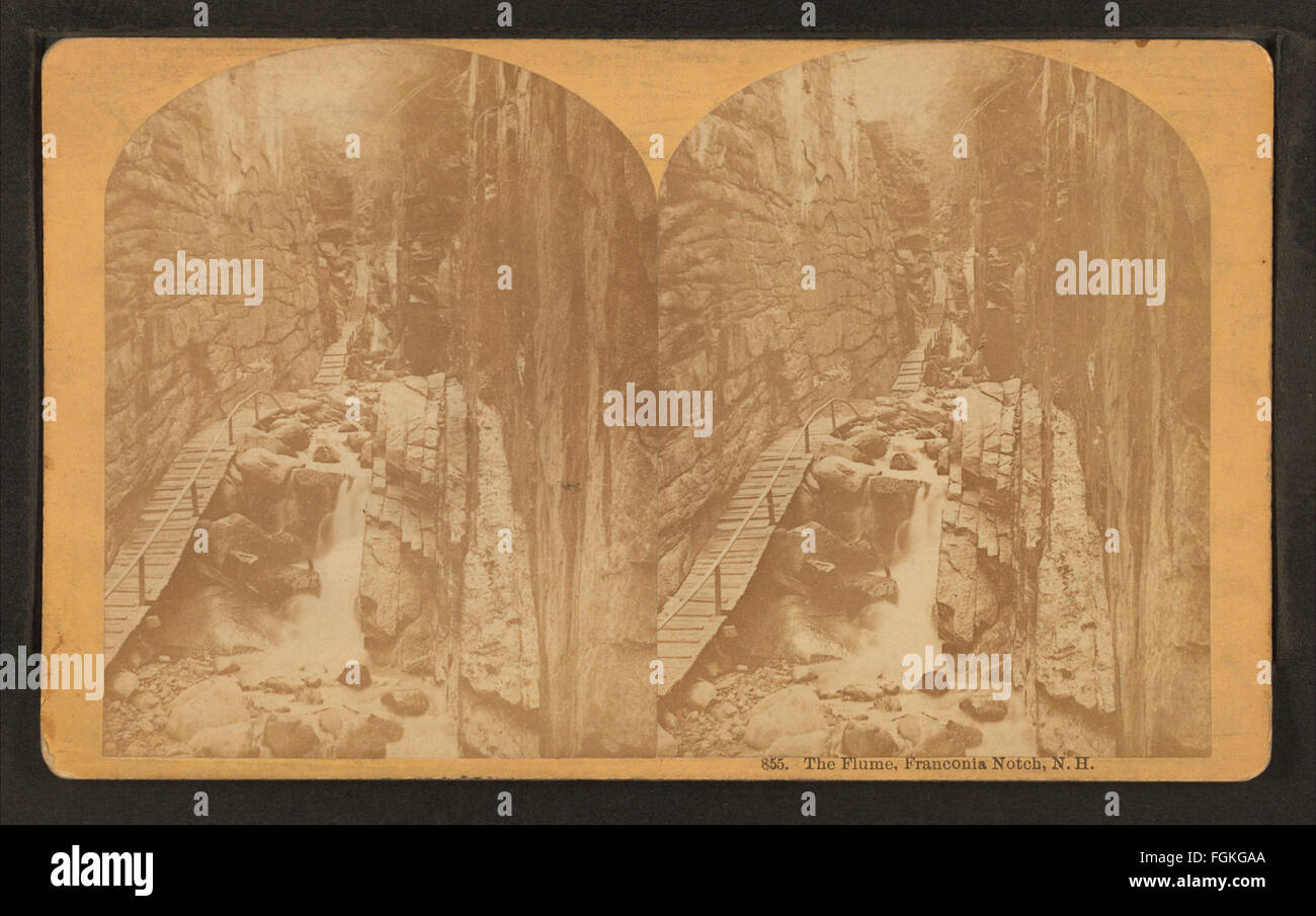 A photograph by the Kilburn Brothers showing the Flume in Franconia ...