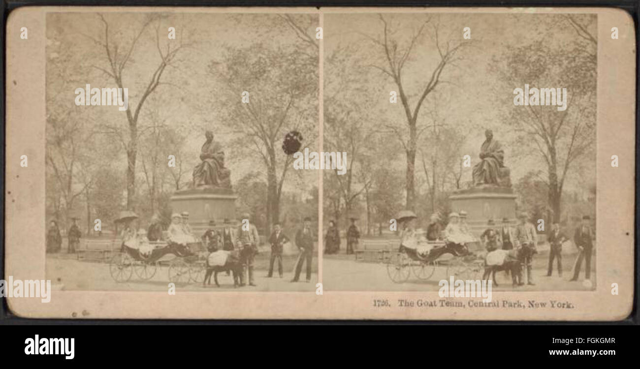 The goat team, Central Park, New York, from Robert N. Dennis collection ...