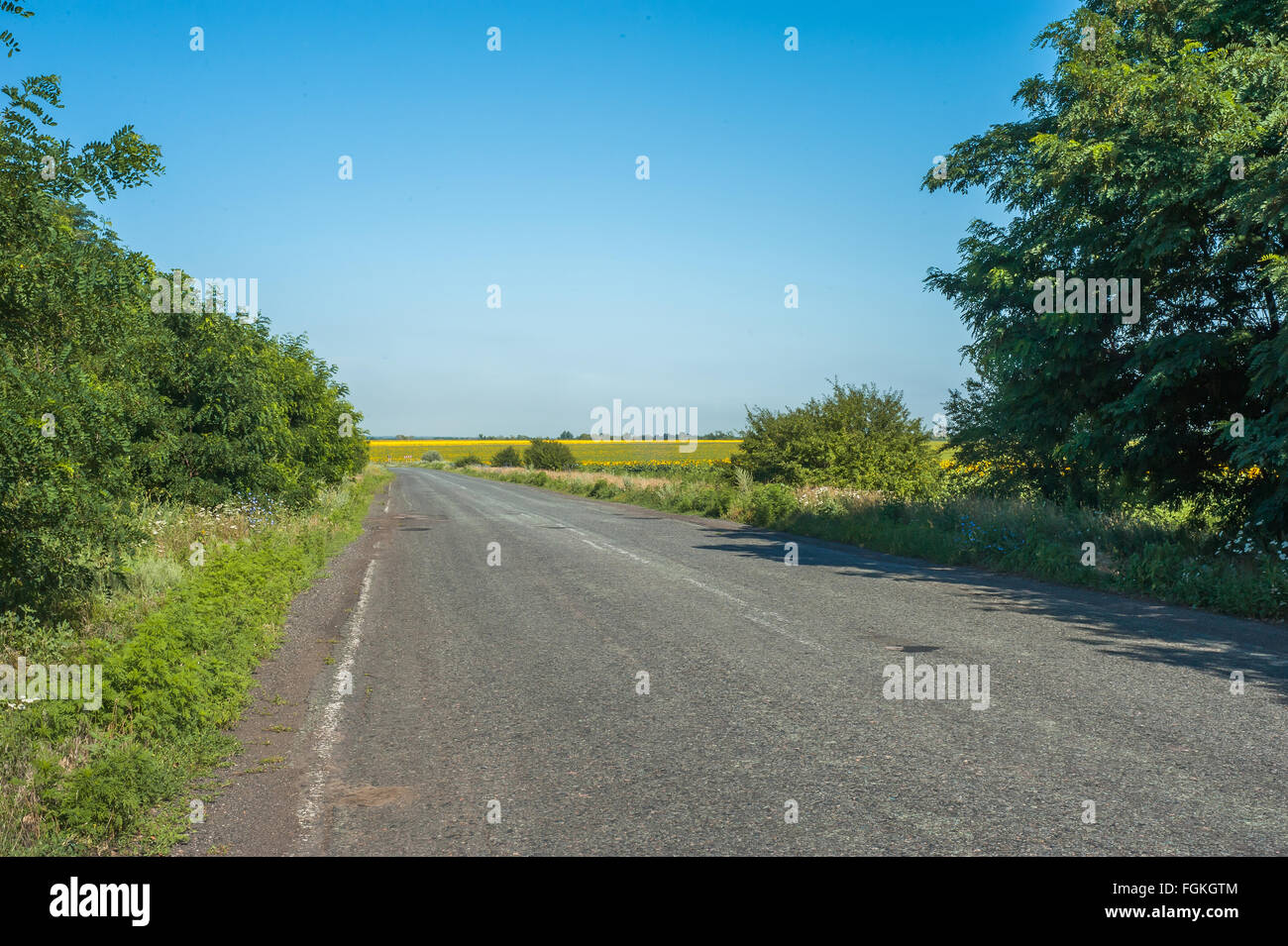 Empty rural asphalt road Stock Photo - Alamy