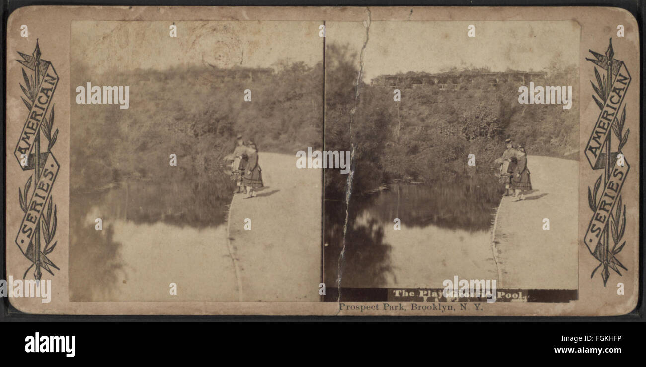 The Playground Pool, Prospect Park, Brooklyn, N.Y, from Robert N ...