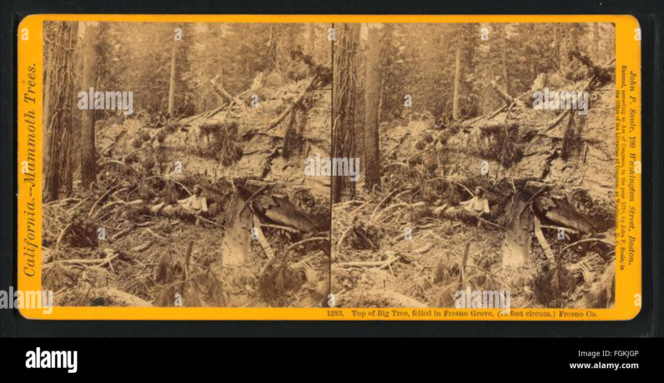 78 feet circum hi-res stock photography and images - Alamy