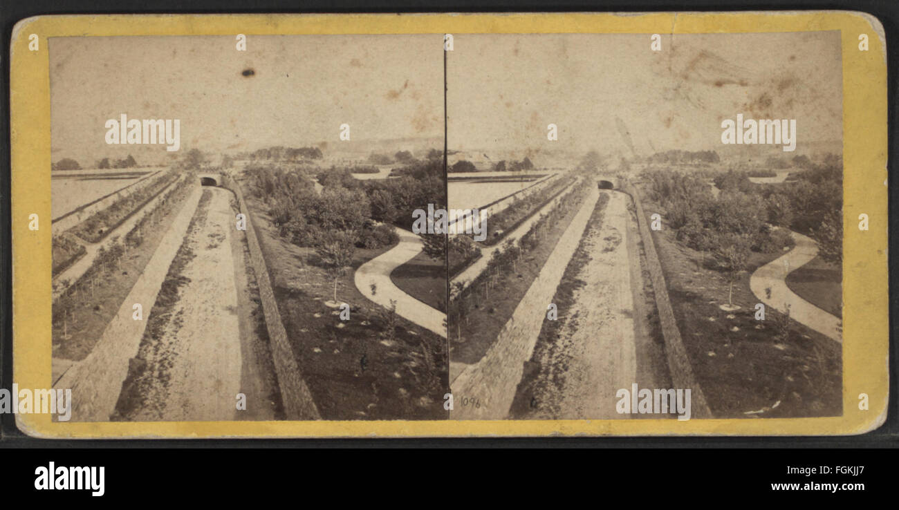 A photograph by T. C. Roche showing Transverse Road No. 2, located ...