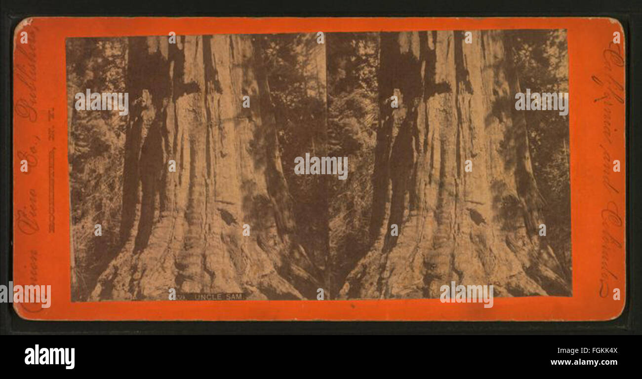 Uncle Sam, by Union View Co Stock Photo - Alamy