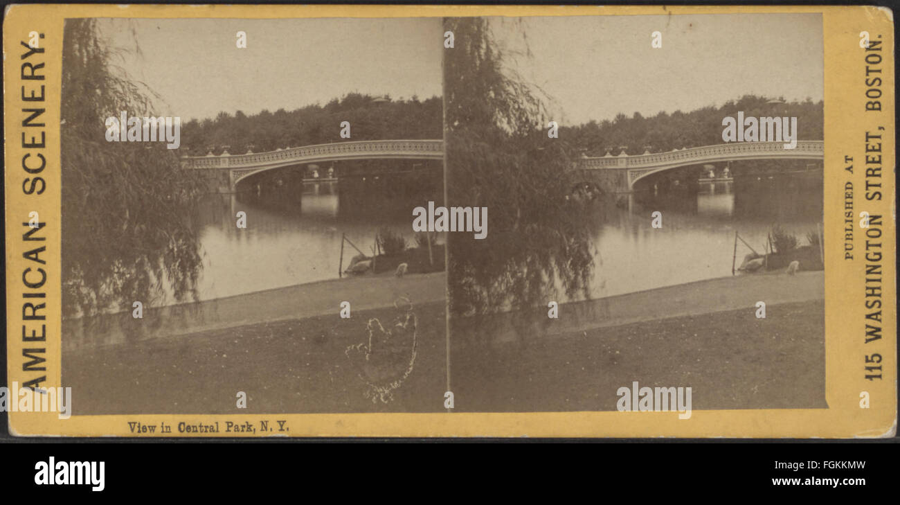 View in Central Park, N.Y. (Bow Bridge), by Chase, W. M. (William M ...