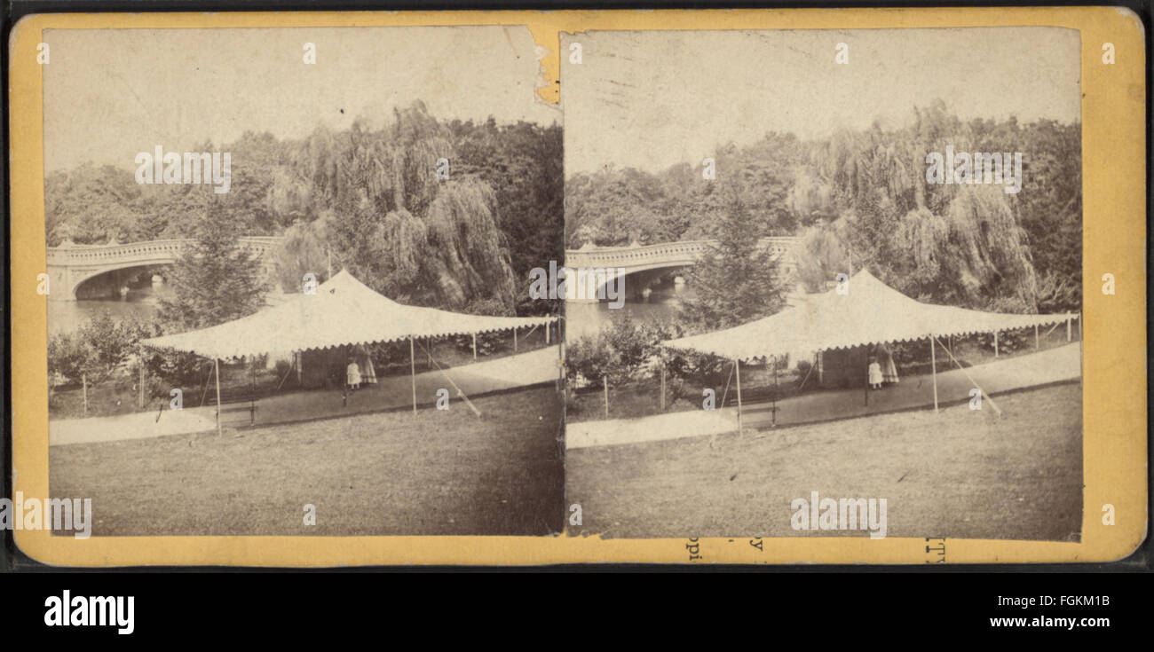 This photograph, by William M. Chase, circa 1818-1901, captures a ...