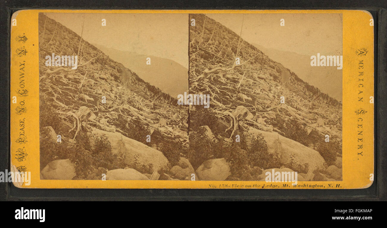 A vintage photograph titled 'View on the Ledge' by Nathan W. Pease ...