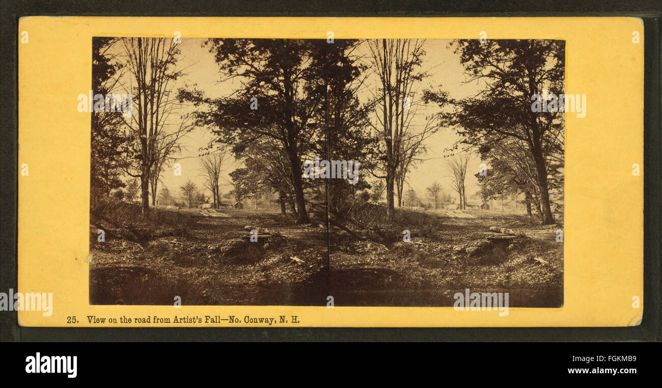 Nathan W. Pease's photograph titled 'View on the Road from Artist's ...