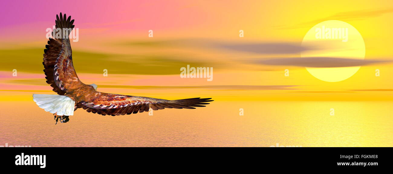 Eagle flying upon ocean by sunset - 3D render Stock Photo - Alamy