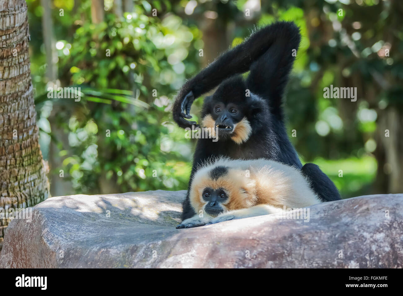 Mount spec hi-res stock photography and images - Alamy