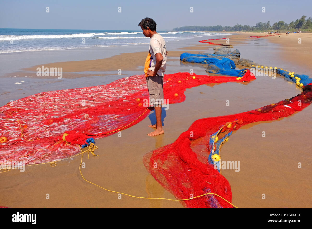 Hauling Fishing Nets High Resolution Stock Photography and Images - Alamy