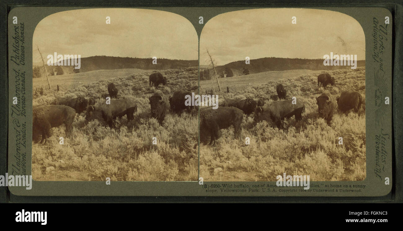 Old slope hi-res stock photography and images - Alamy