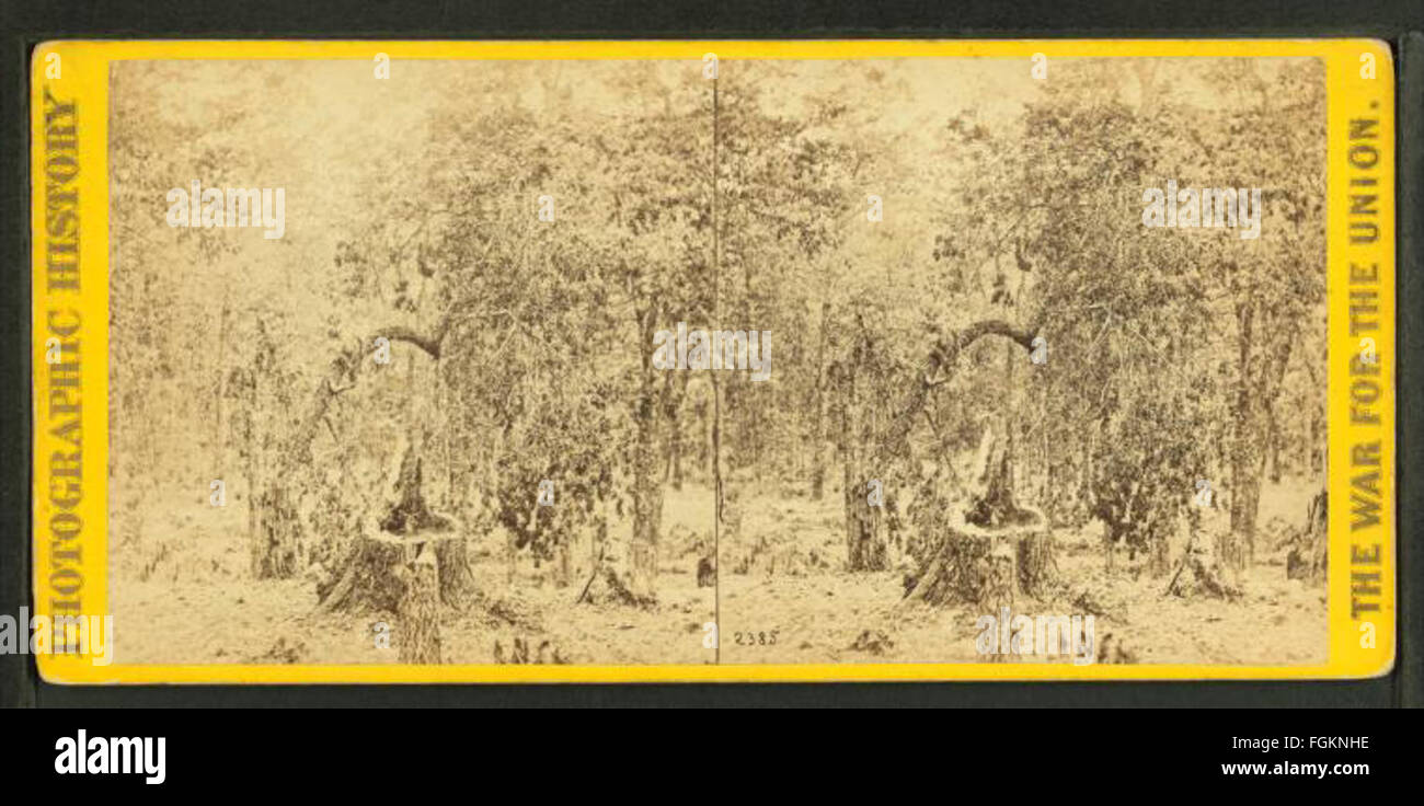 History historic vintage old photograph archive woods hi-res stock ...