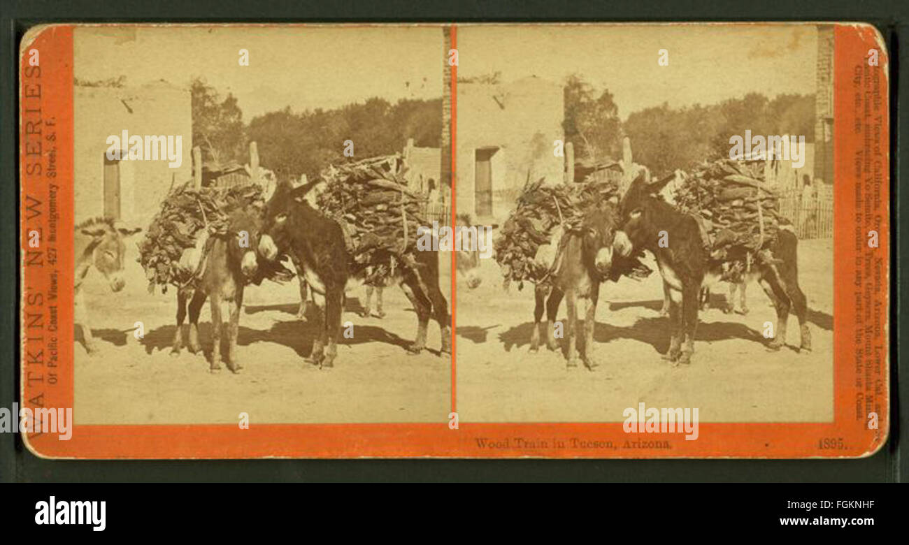 A historic photograph by Carleton Watkins from the late 19th century ...