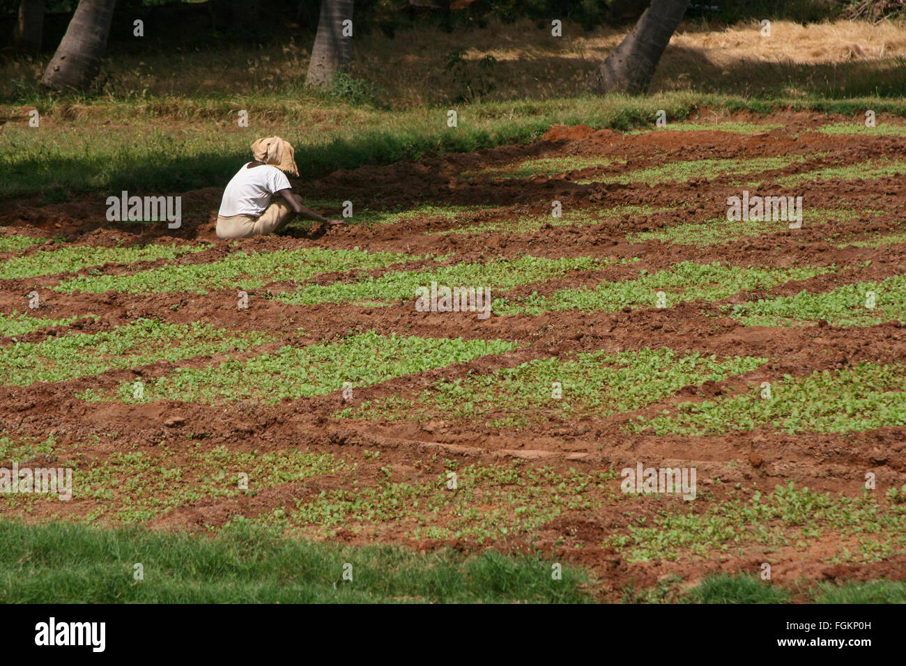 Lone worker hi-res stock photography and images - Alamy