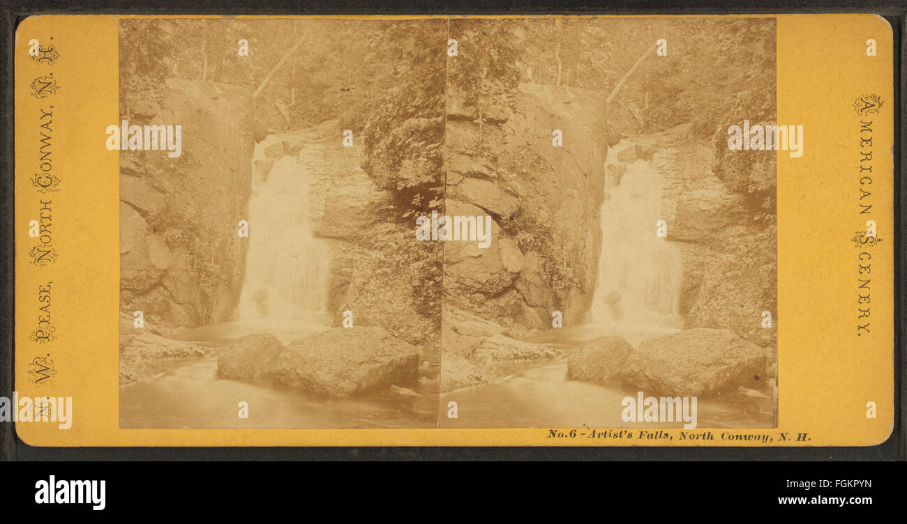 This 19th-century photograph, 'Artistâ€™s Falls' by Nathan W. Pease ...