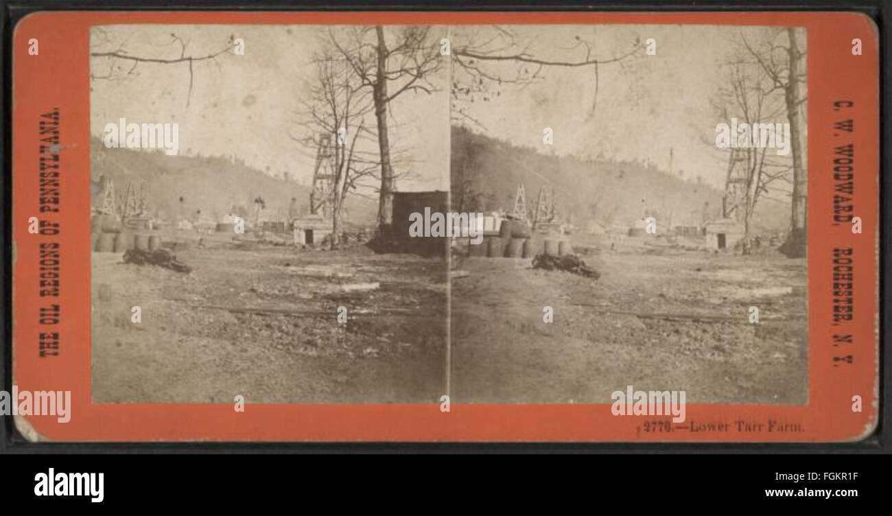 Lower Tarr Farm, captured by Charles Warren Woodward, offers a glimpse ...