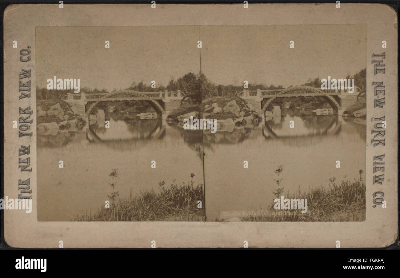 This photograph by William M. Chase captures the Rustic Bridge in ...