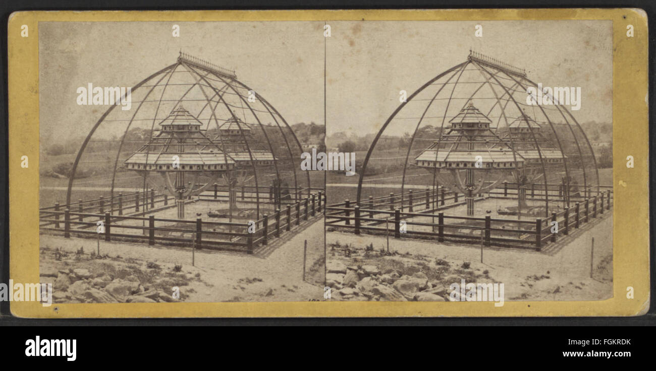 'The Dove Cot' by T.C. Roche is a historical photograph capturing an ...