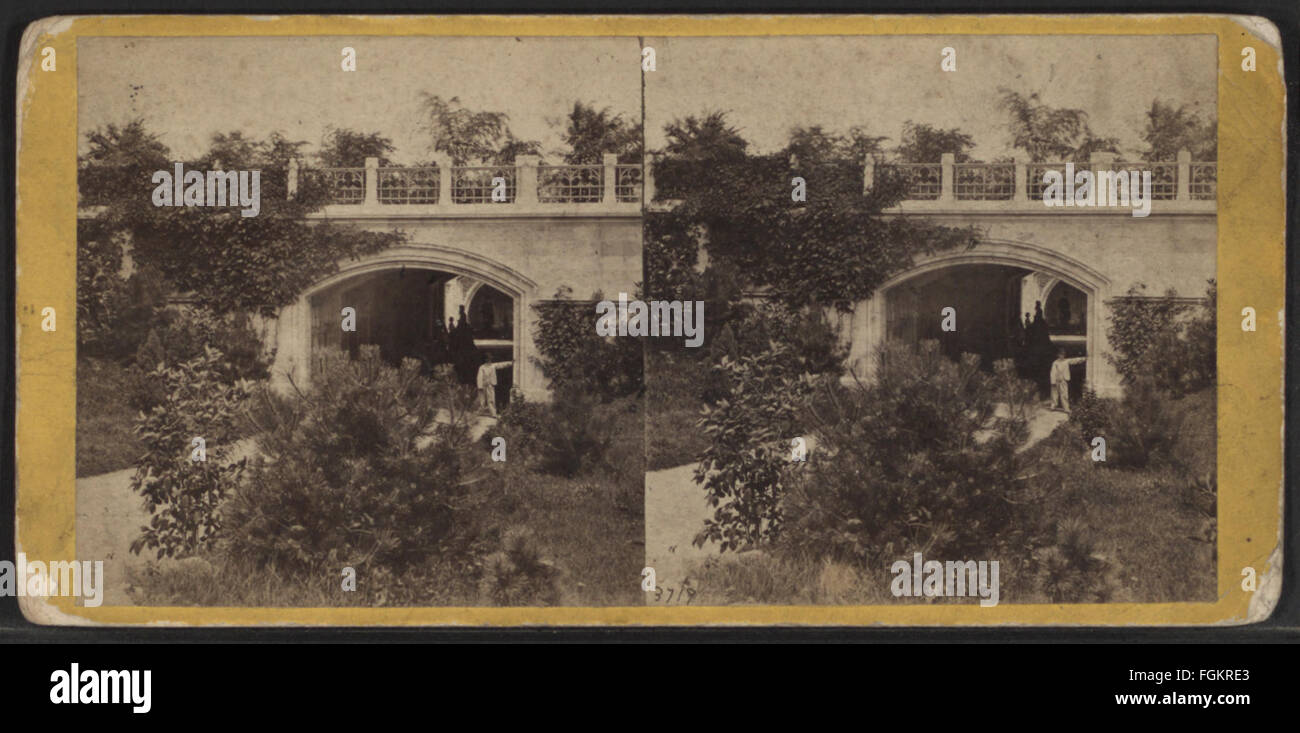 This photograph from the E. & H.T. Anthony firm showcases the iconic ...