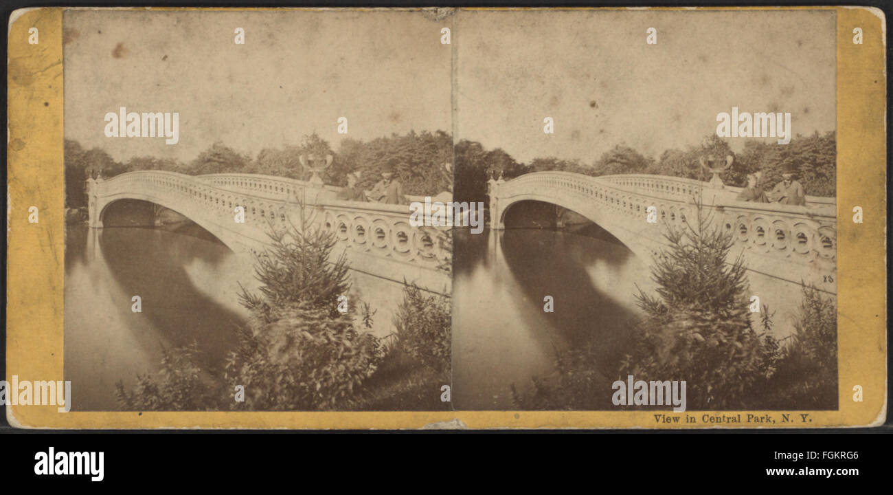 This historical photograph by William M. Chase depicts Central Park in ...