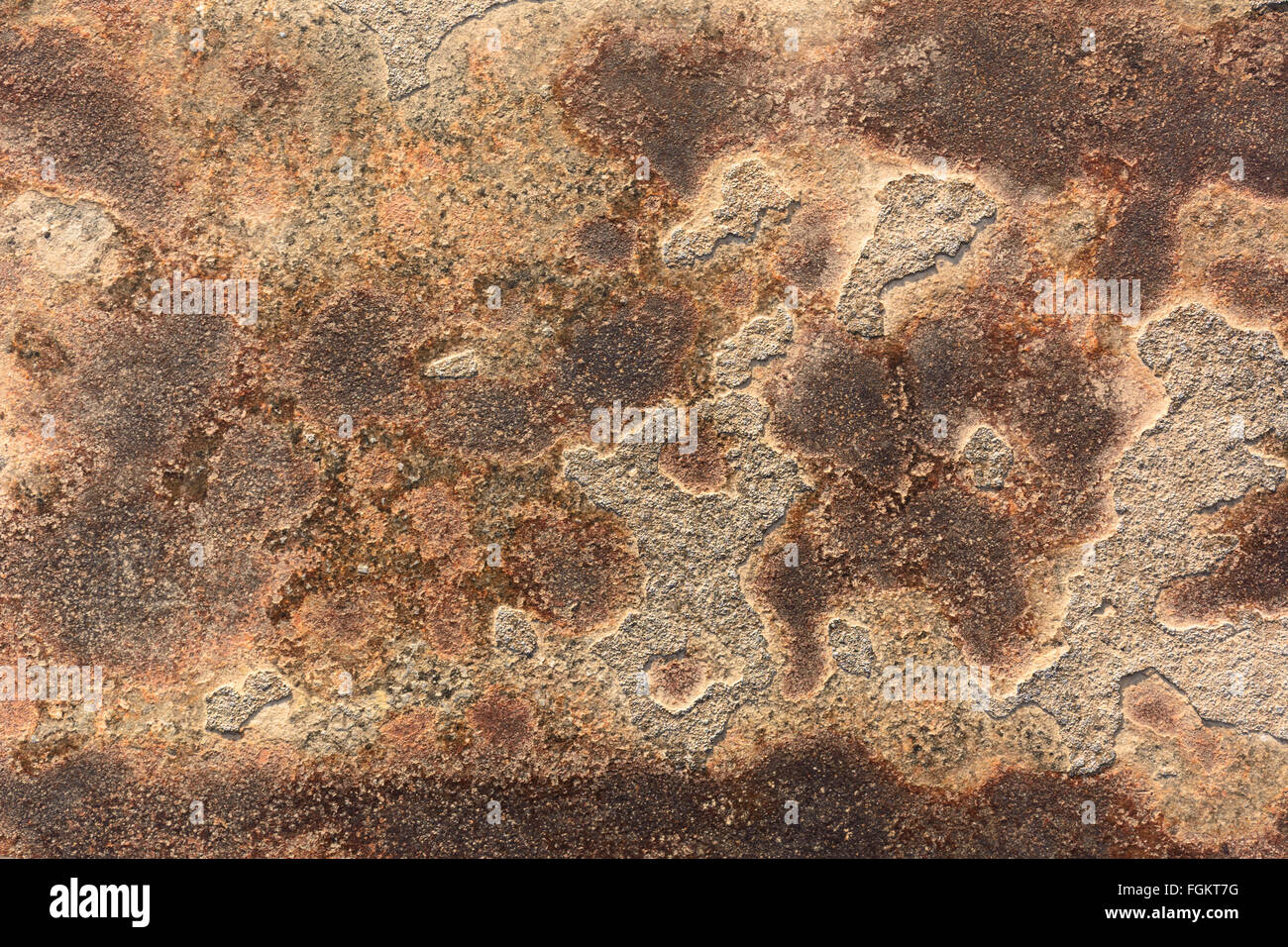 Close-up of sandstone slab with colorful patterns Stock Photo - Alamy