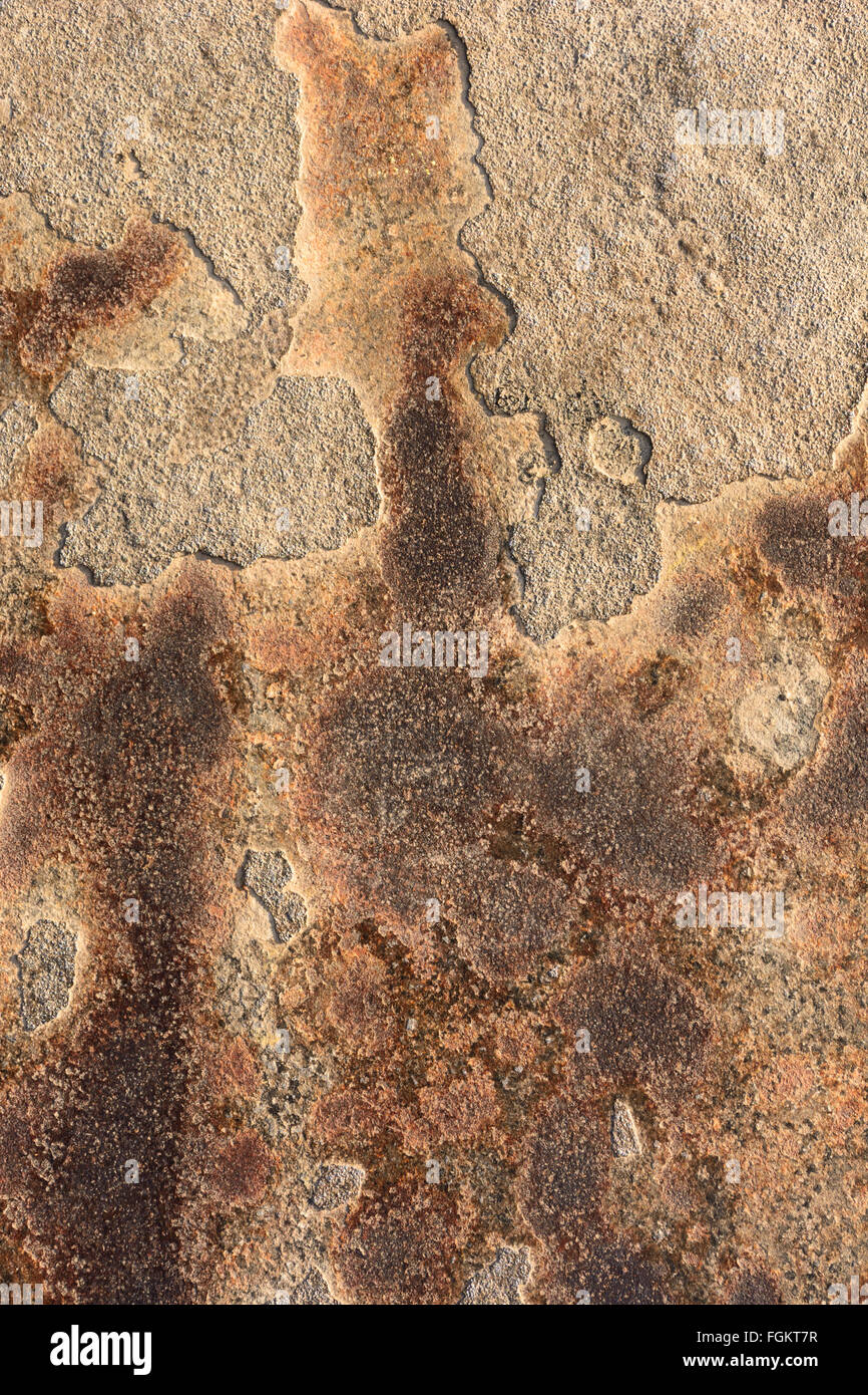 Vertical close-up of sandstone slab with colorful patterns Stock Photo ...