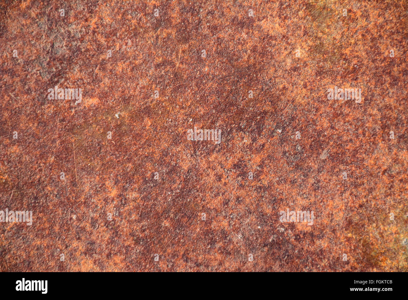 Close-up of sandstone slab with colorful patterns Stock Photo - Alamy