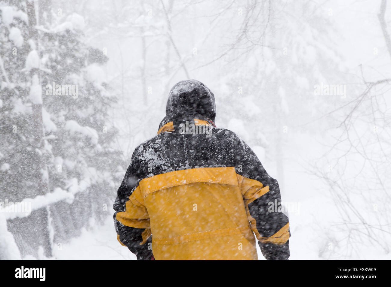 Winter storm walks hi-res stock photography and images - Alamy