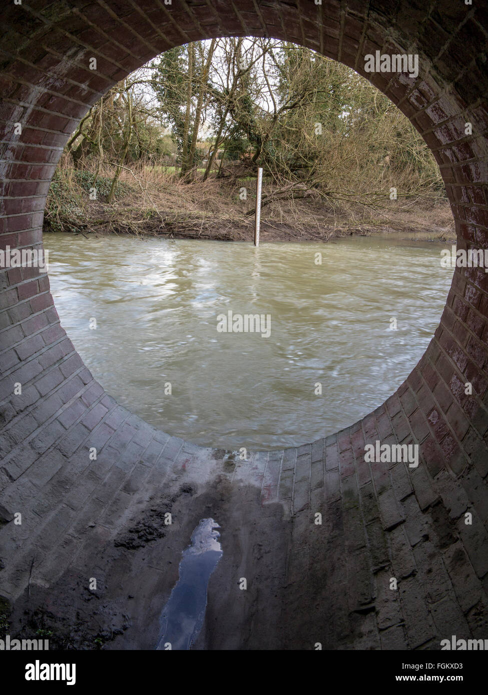 River mole at brockham hi-res stock photography and images - Alamy