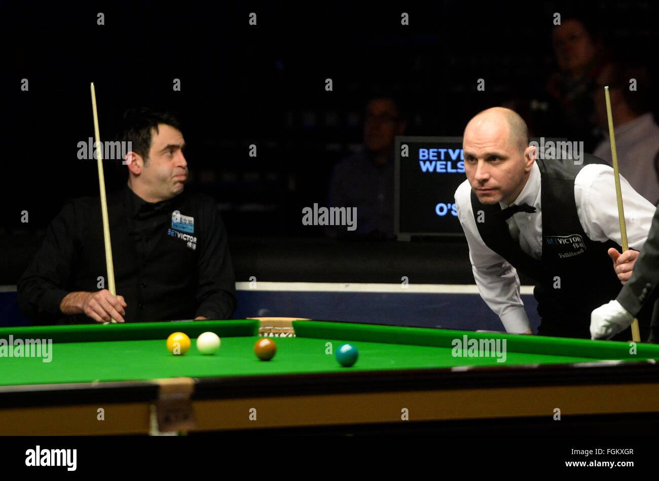 Plus sizes hi-res stock photography and images - Alamy