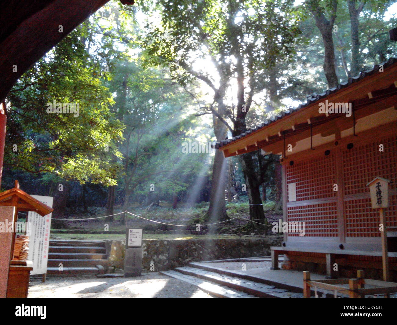 Sunshine and light beam asia hi-res stock photography and images - Alamy