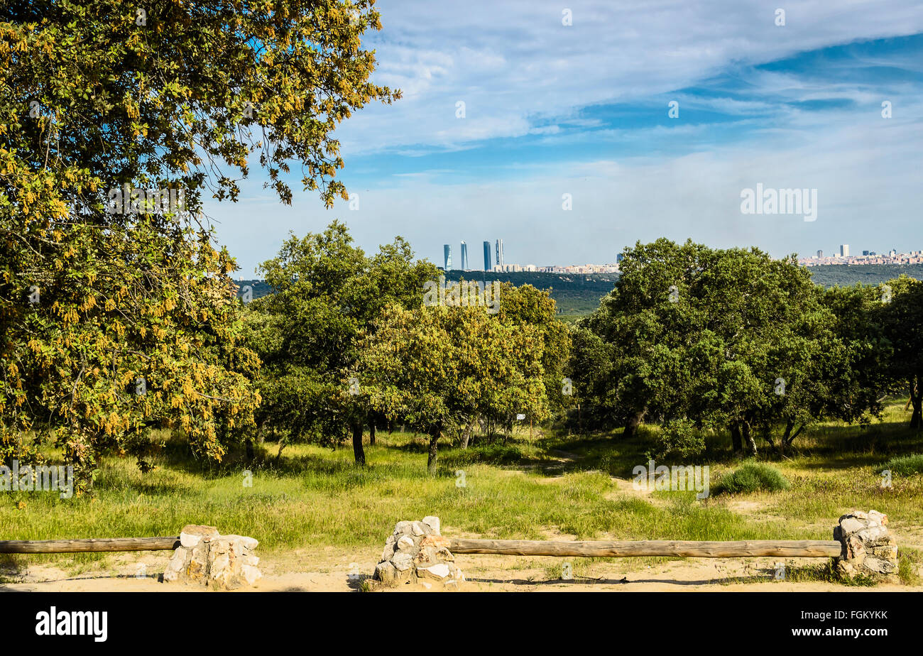 Color pardo hi-res stock photography and images - Alamy