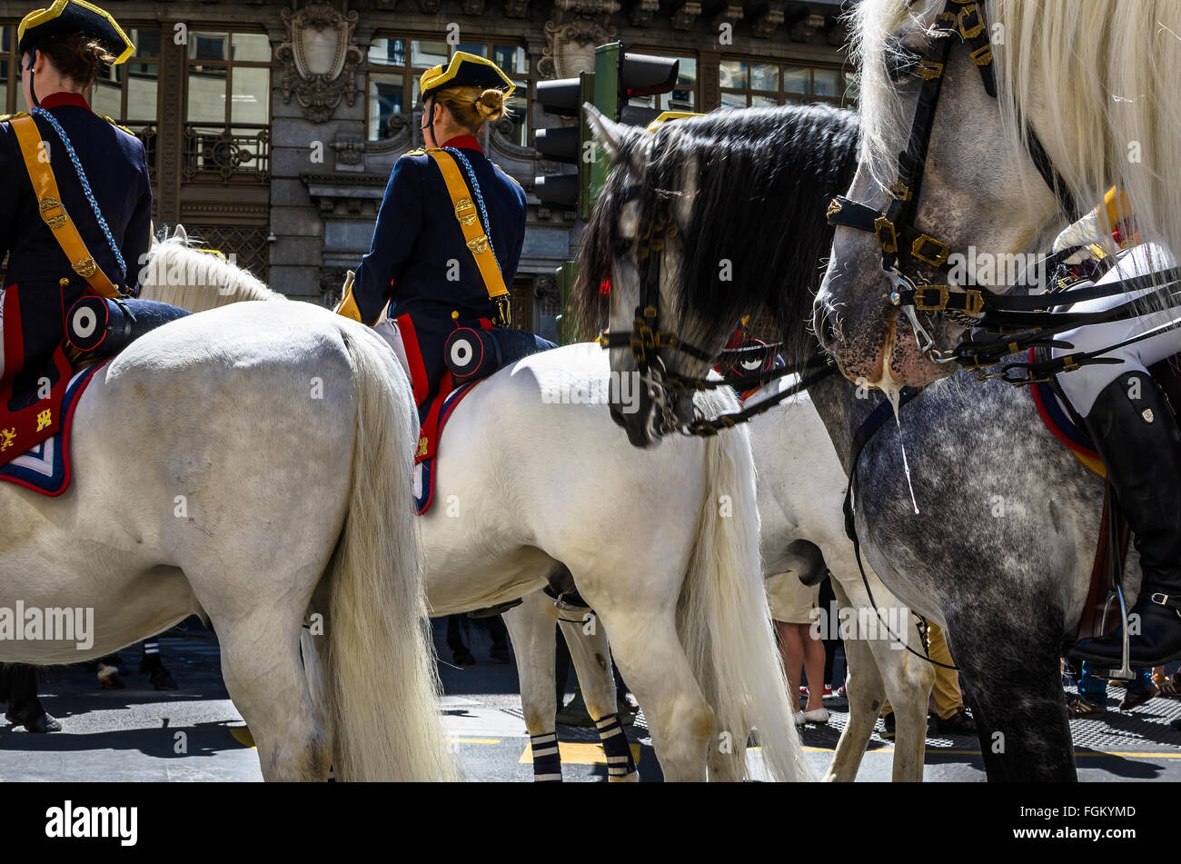 Horses in a procession hi-res stock photography and images - Alamy