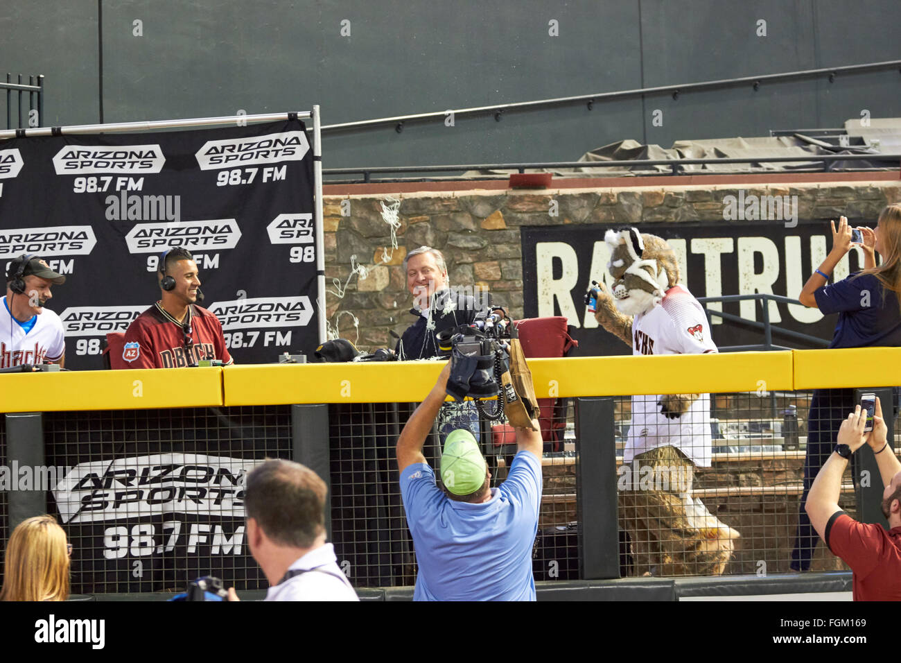 Arizona diamondbacks hi-res stock photography and images - Alamy