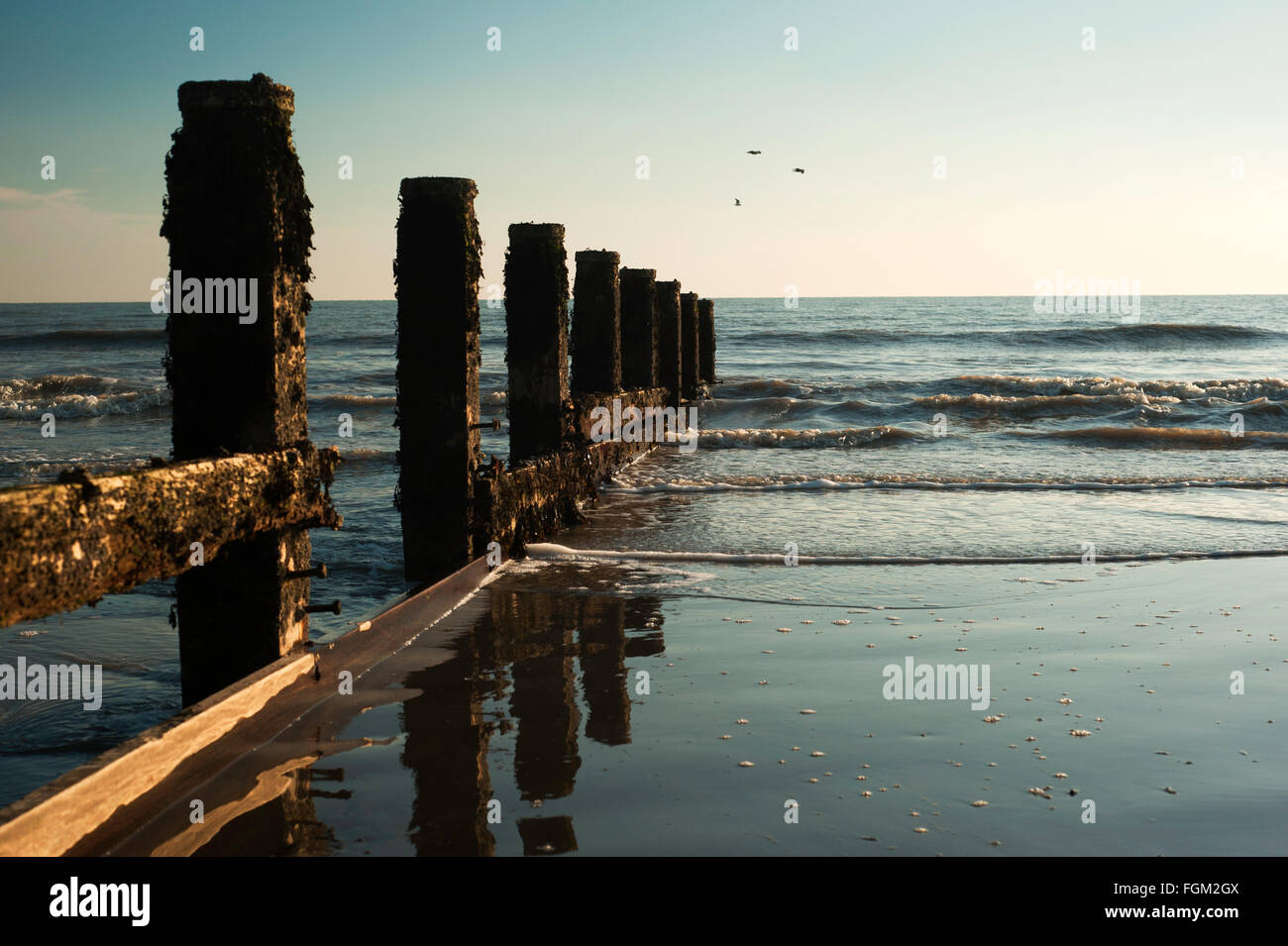 Breakwater timbers hi-res stock photography and images - Alamy