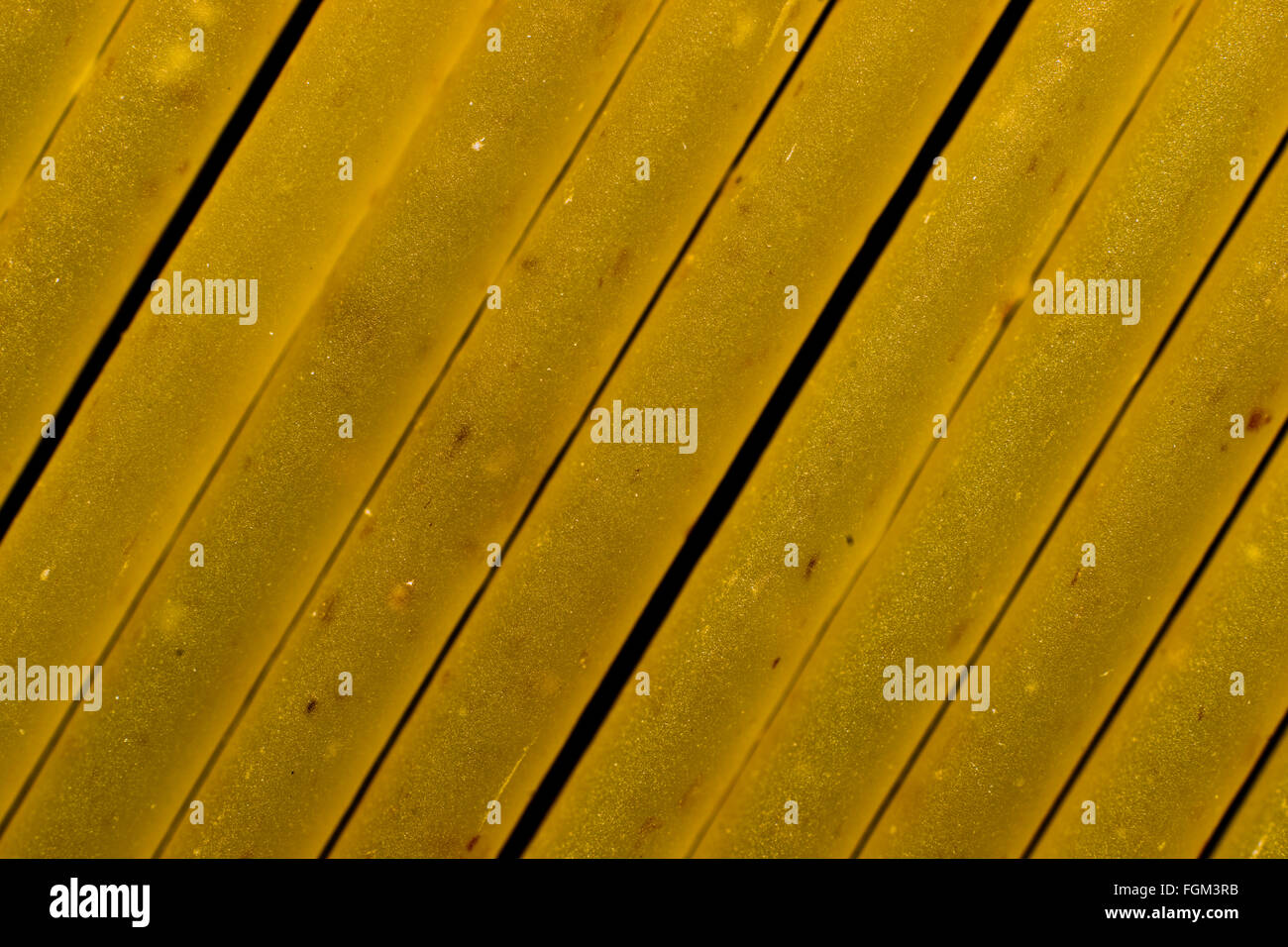 dry spaghetti close up Stock Photo - Alamy
