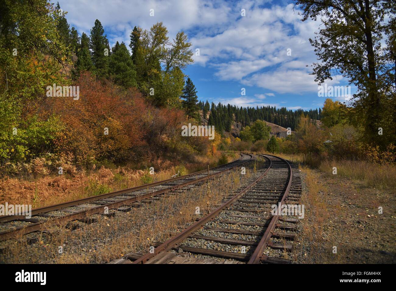 Forgotten railroad hi-res stock photography and images - Alamy